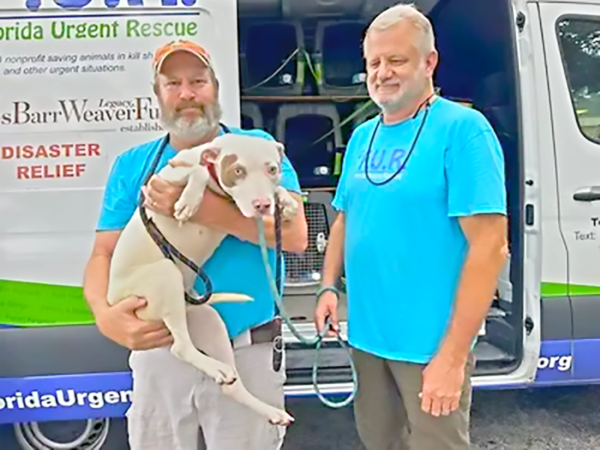 Double the Danger for Animals in Hurricane Milton - The Baja Post