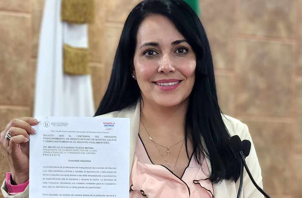 Propone Diputada Mayola Gaona cambios para garantizar participación ...